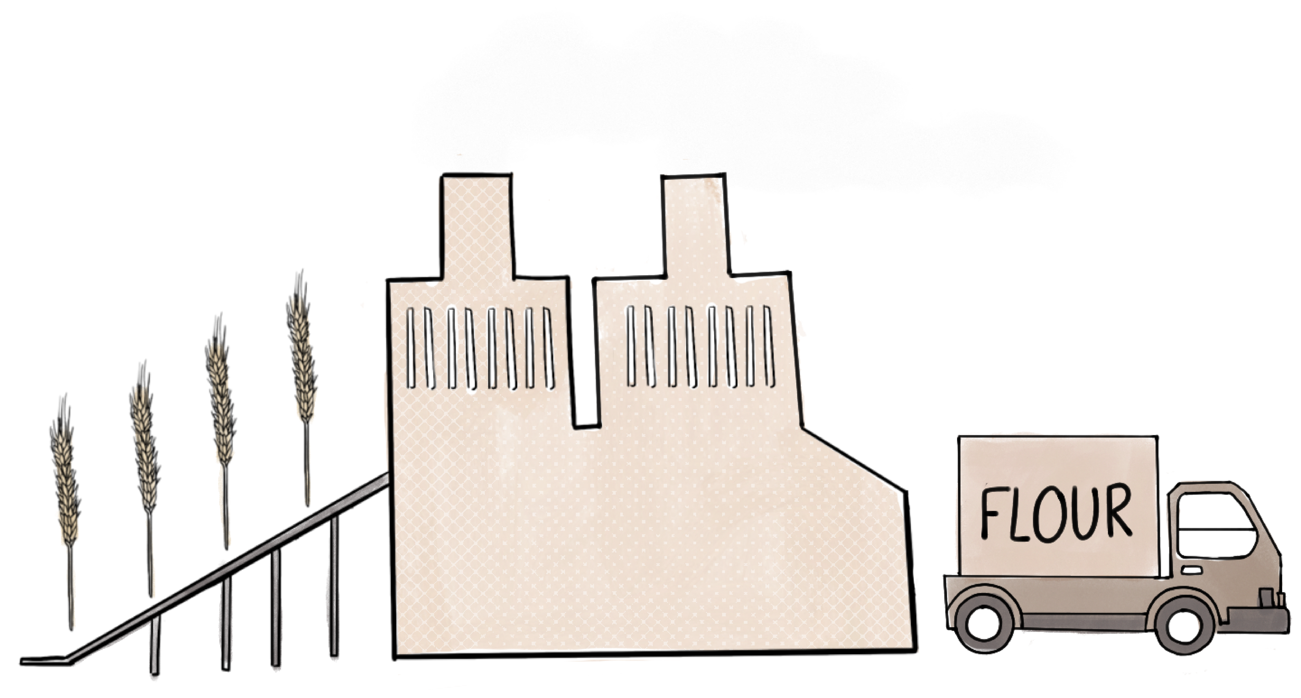 Why Our Flour | Better Basics Milling Company